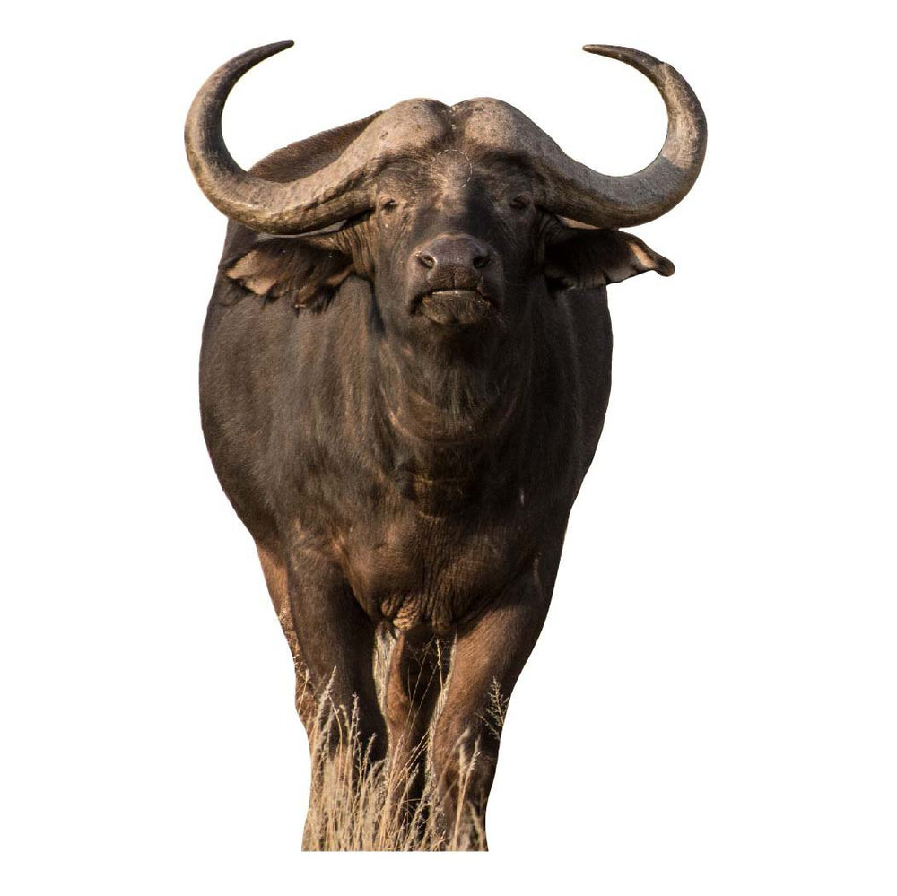 Skjutmål Buffel front